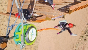 The Tree Course | Walltopia