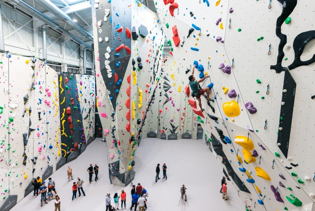 About us | Walltopia