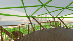 The Tree Course | Walltopia