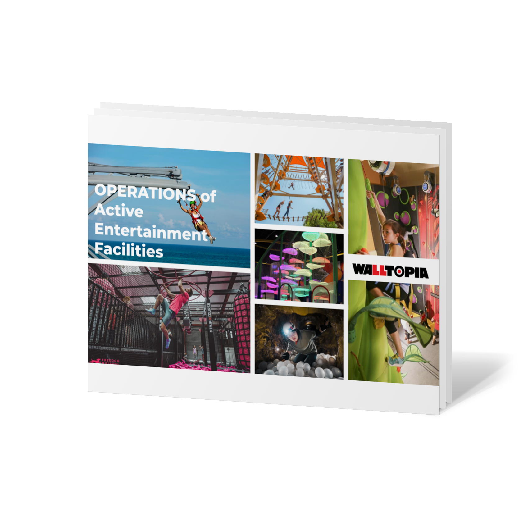 Operational Success Blueprint for Entertainment Facilities | Walltopia